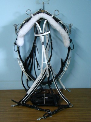Auscoat Trotting Racing Quick Hitch Harness - Black / White PVC Webbing ...