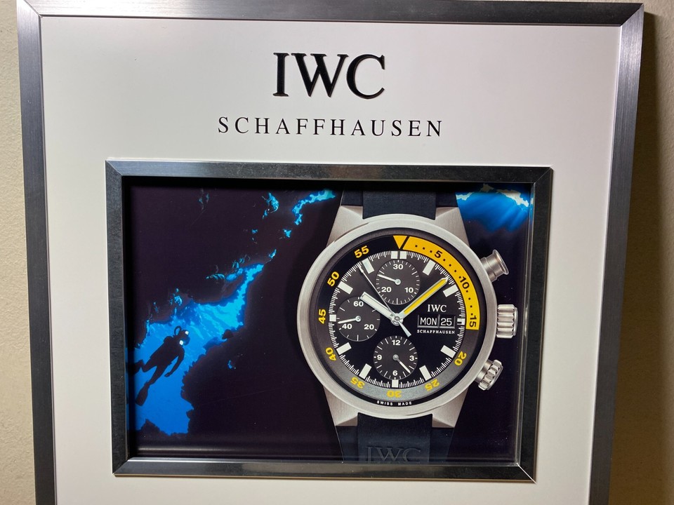 Basck Display IWC SCHAFFHAUSEN Exhibition Back - AQUATIMER - Metal | eBay