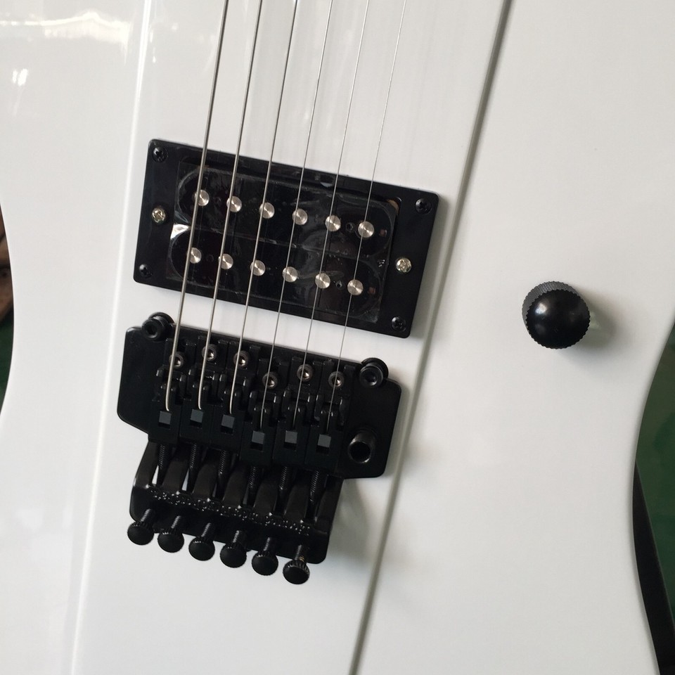 White Robin Crosby Firebird Electric Guitar Mahogany Body&Neck Floyd ...