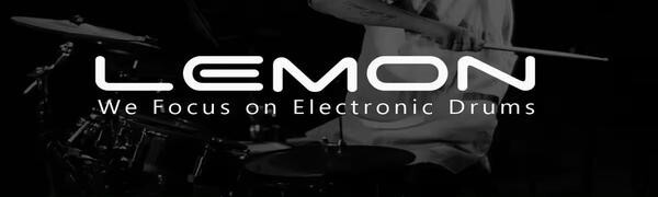 Lemon Two-Piece 12" Hi-Hat Electronic Cymbal LE-HHC12 | eBay