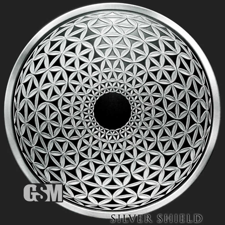 Torus Flower Of Life | Best Flower Site