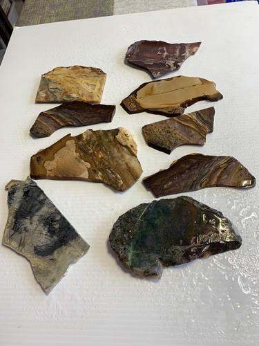 Biggs Jasper ( Oregon)And Others Rough slabs 9 Total | eBay