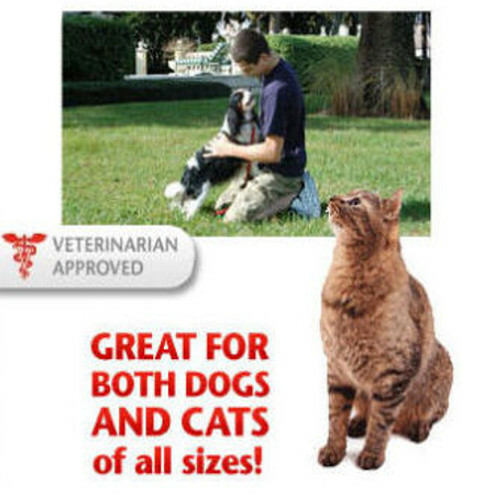 Vets Pref Plaque Attack Spray Dog Cat Bad Breath Teeth up to 3 Month ...