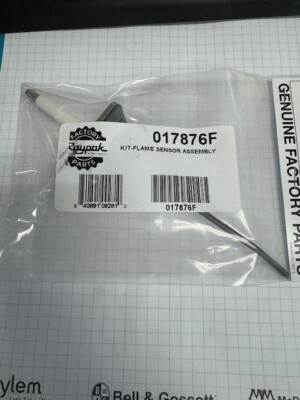 017876F Raypak Kit Flame Sensor Assy. For Raypak XFIIRE Models NIB | eBay