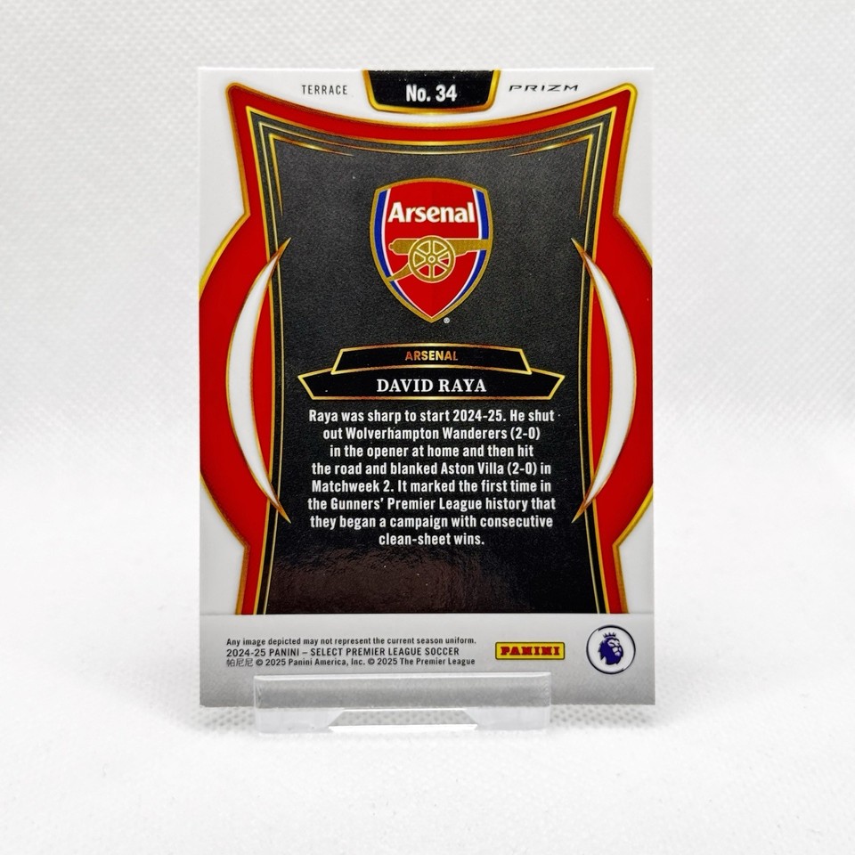 24-25 Panini Select EPL David Raya Silver Prizm Refractor Insert Card ...