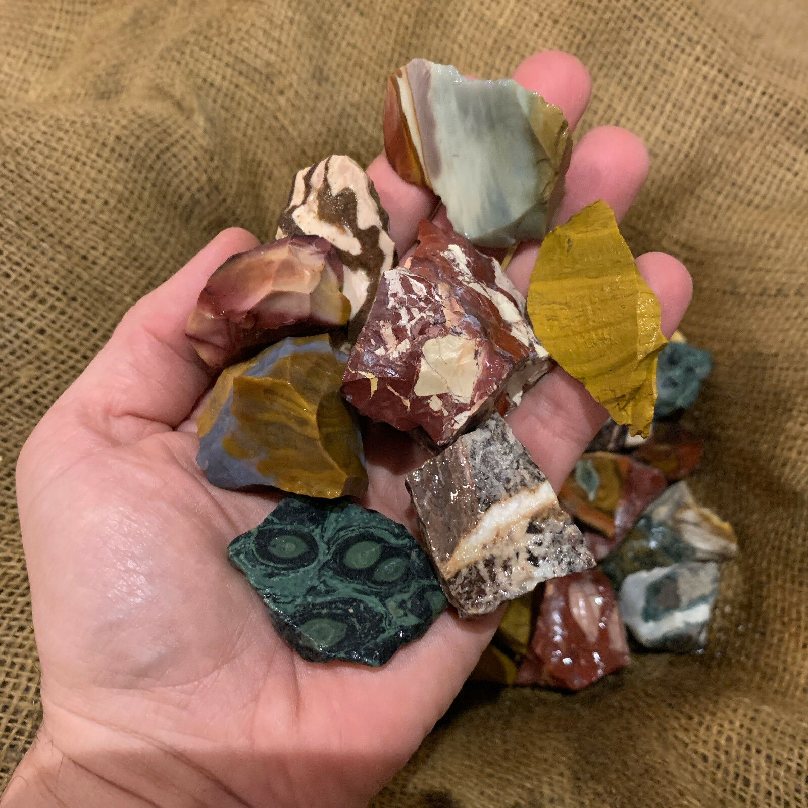 500 Carat Lots of Mixed Jasper Rough - Plus a FREE Faceted Gemstone | eBay