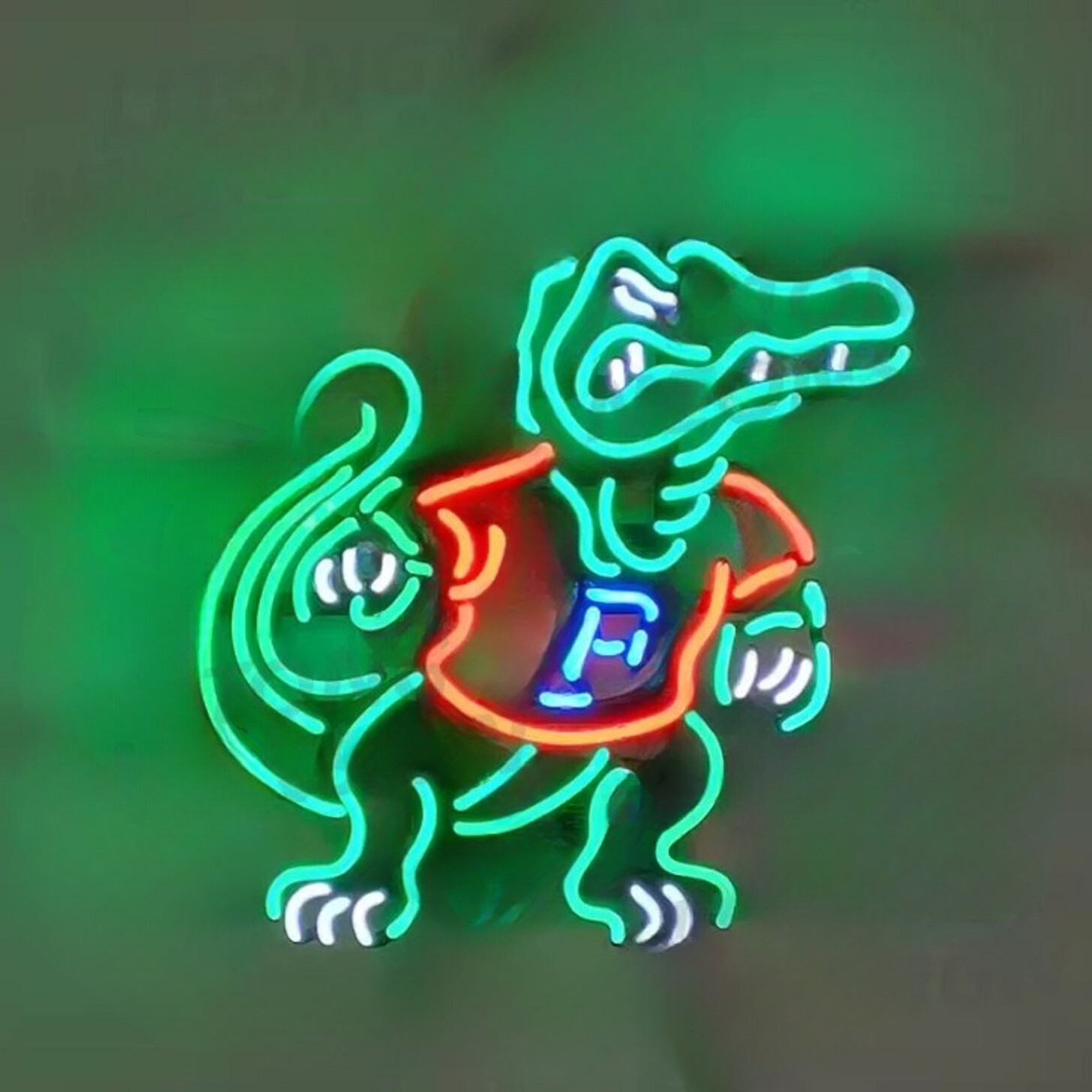 Florida Gators Neon Light Sign 19x15 Beer Bar Sport Pub Windows Wall ...