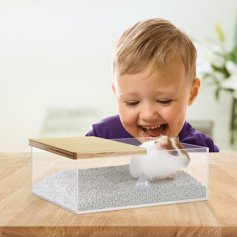 Hamster Sand Bad Box - Acrylgraben für Kleintiere | eBay