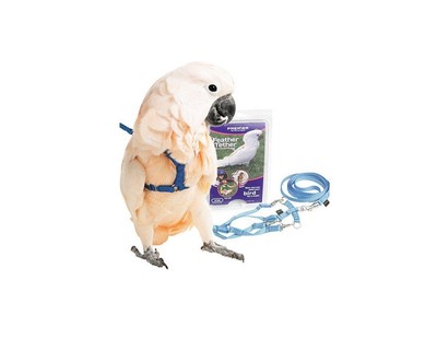 Premier Feather Tether Bird Harness and Leash | eBay Australia