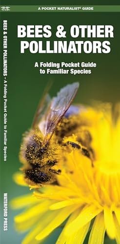 Bees & Other Pollinators: A Folding Pocket Guide to Familiar Species ...