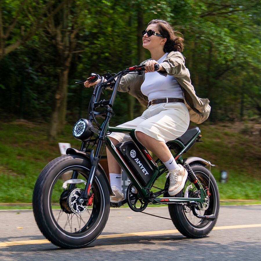 AMYET S8 Electric Bike Adult 2000W Dual Motor AWD 48V 25Ah e bike 32MPH ...