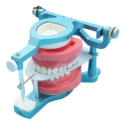 Dental Lab - Articulators