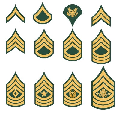 U.S. Army rank insignia private sergeant specialist corporal sticker ...
