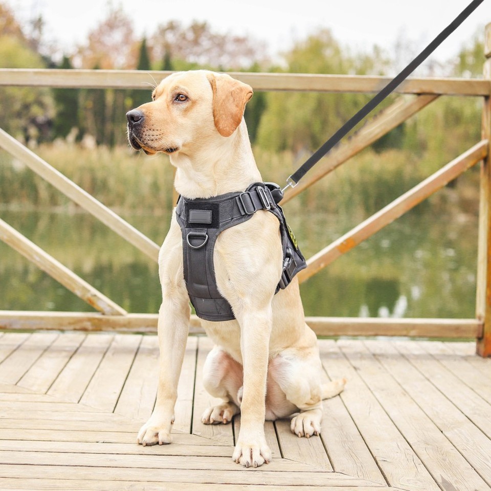 Nylon Tricephalous Dog Training Leash Heavy Duty Durable Walking Lead ...