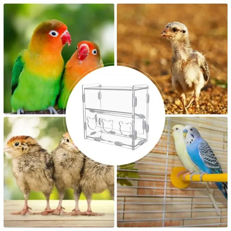 Parrot Feeder Box Acrylic Feeding Container No-Mess Multihole Food ...
