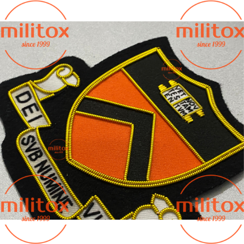 Princeton University Hand Embroidered Bullion Wire Blazer Badge, crest ...