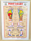 VTG 1983 International Institute of Reflexology Foot Chart ~24x32 Vinyl ...