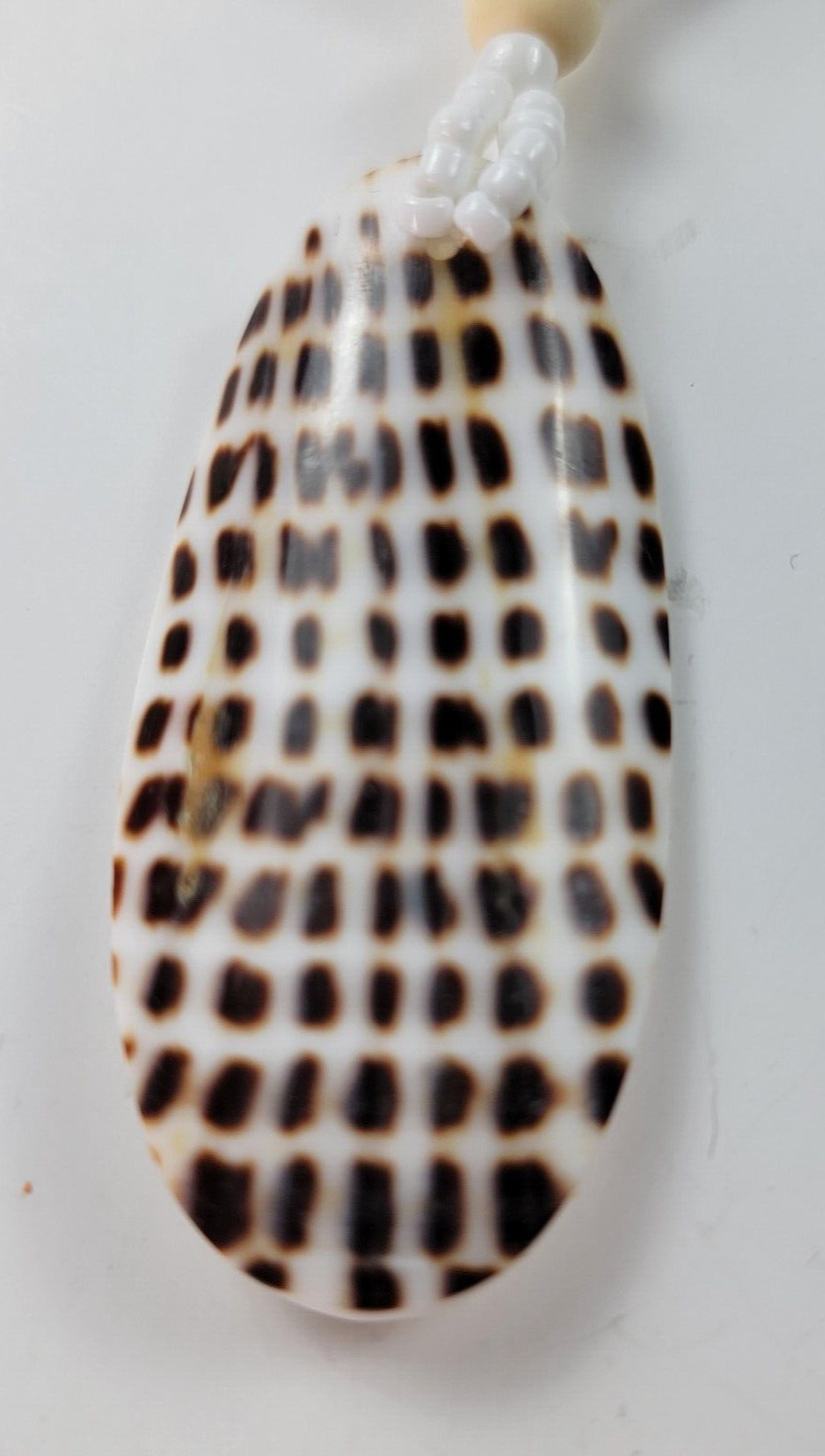 Spotted Shell Pendant White Seed Bead Multi Strand Ha… - Gem