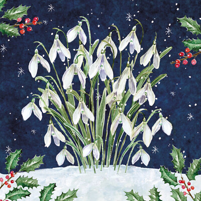 Snowdrops Pack Of (10) Ten Christmas Cards New Seasonal Charity | eBay UK