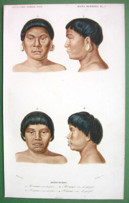 HUMAN RACES Botocudo Man & Woman South America Indians - 1849 COLOR ...