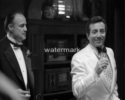 THE GODFATHER 8x10 GLOSSY PHOTO photograph print marlon brando johnny ...