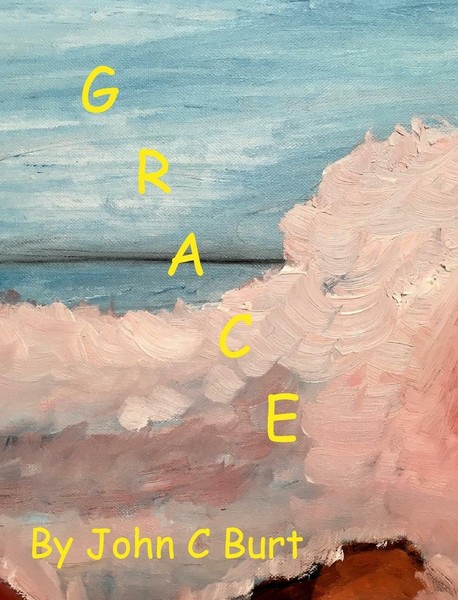 GRACE von John C Burt (2016, Gebundene Ausgabe) for sale online | eBay