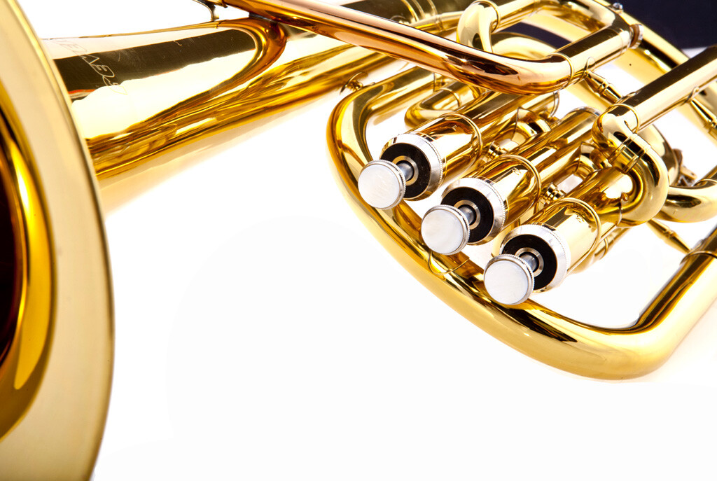 Fever Deluxe Alto Horn - Charcheta Lacquer | eBay UK