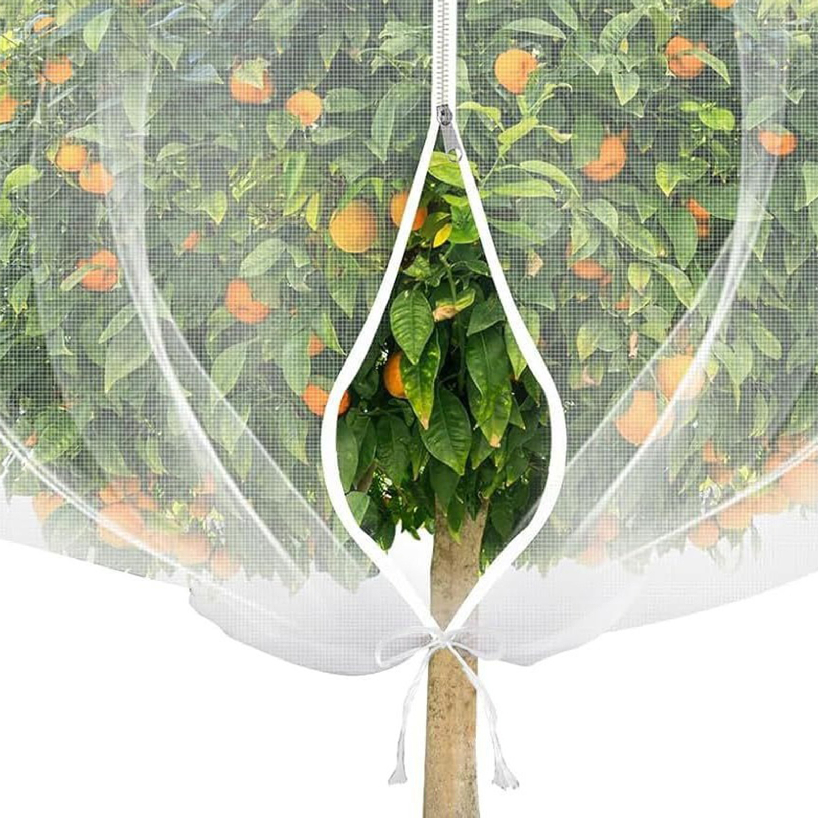 Plant Cover Transparent Ultra-fine Mesh Fruit Tree Netting with Zipper ...