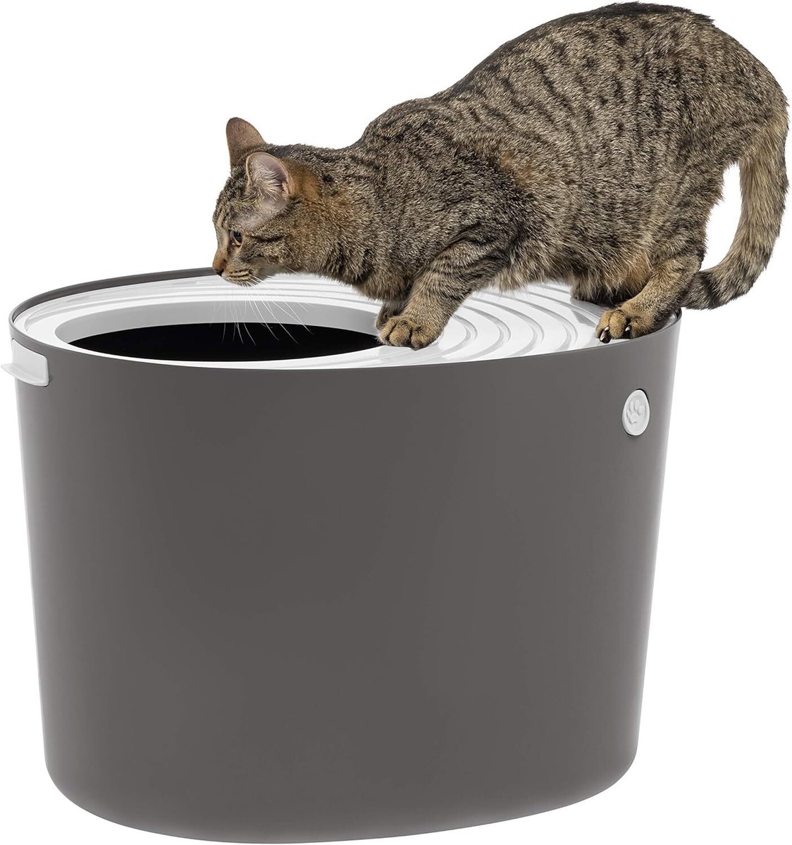 Privacy Litter Box For Cats IRIS USA Top Entry Cat Litter Box - Large ...