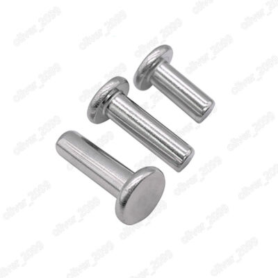304 Stainless Steel Flat Head Rivets M2 M2.5 M3 M4 M5 M6 M8 | eBay