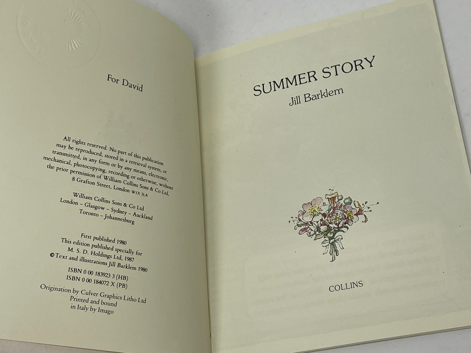 Summer Story (Brambly Hedge) by Barklem, Jill Book PB | eBay