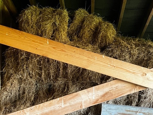 hay July 2024 traditional rectangular bales | eBay UK