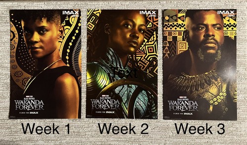 Black Panther Wakanda Forever AMC IMAX Double-Sided 11x17" COMPLETE ...