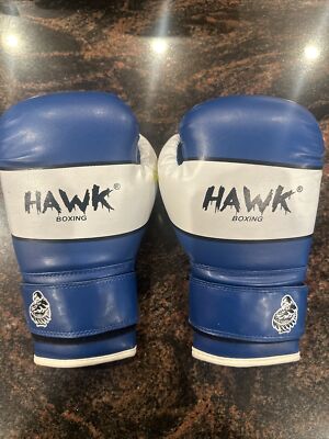 Hawk Sports Kids Boxing Gloves for Full Punching & Blocking Power, 4 oz ...