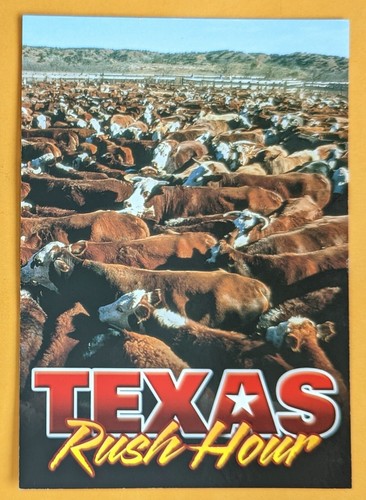Postcard TX: Texas, Rush Hour | eBay