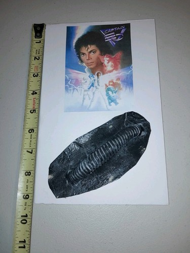 CAPTAIN EO MINIATURE PROP DISPLAY DISNEY MICHAEL JACKSON | eBay