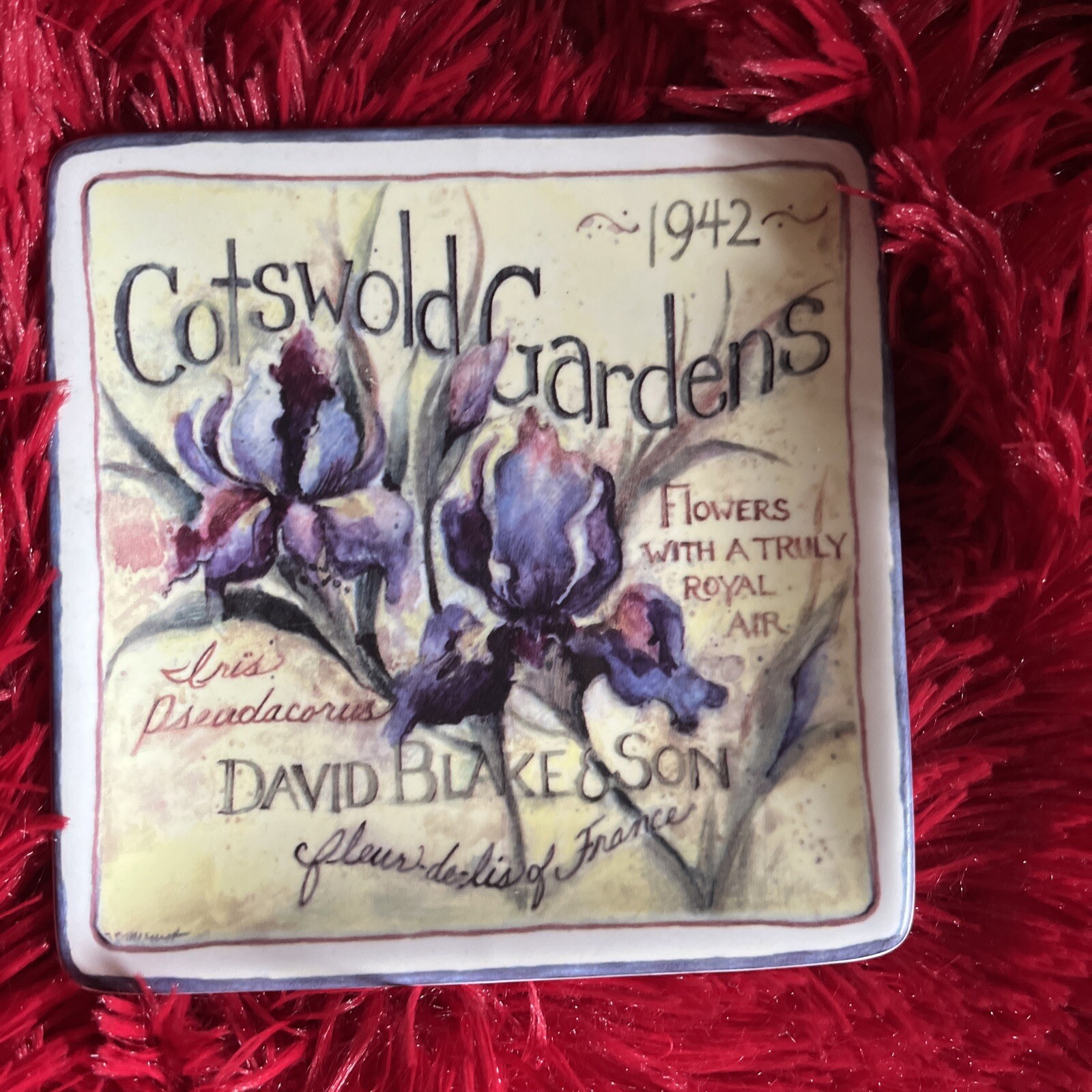 MWW Market Mini plates 2 | eBay