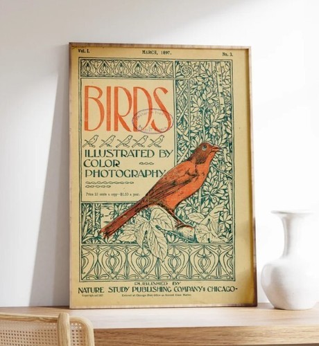 Vintage Birds Book Print, Birds Poster, Soft Color Swallow Wall Art ...