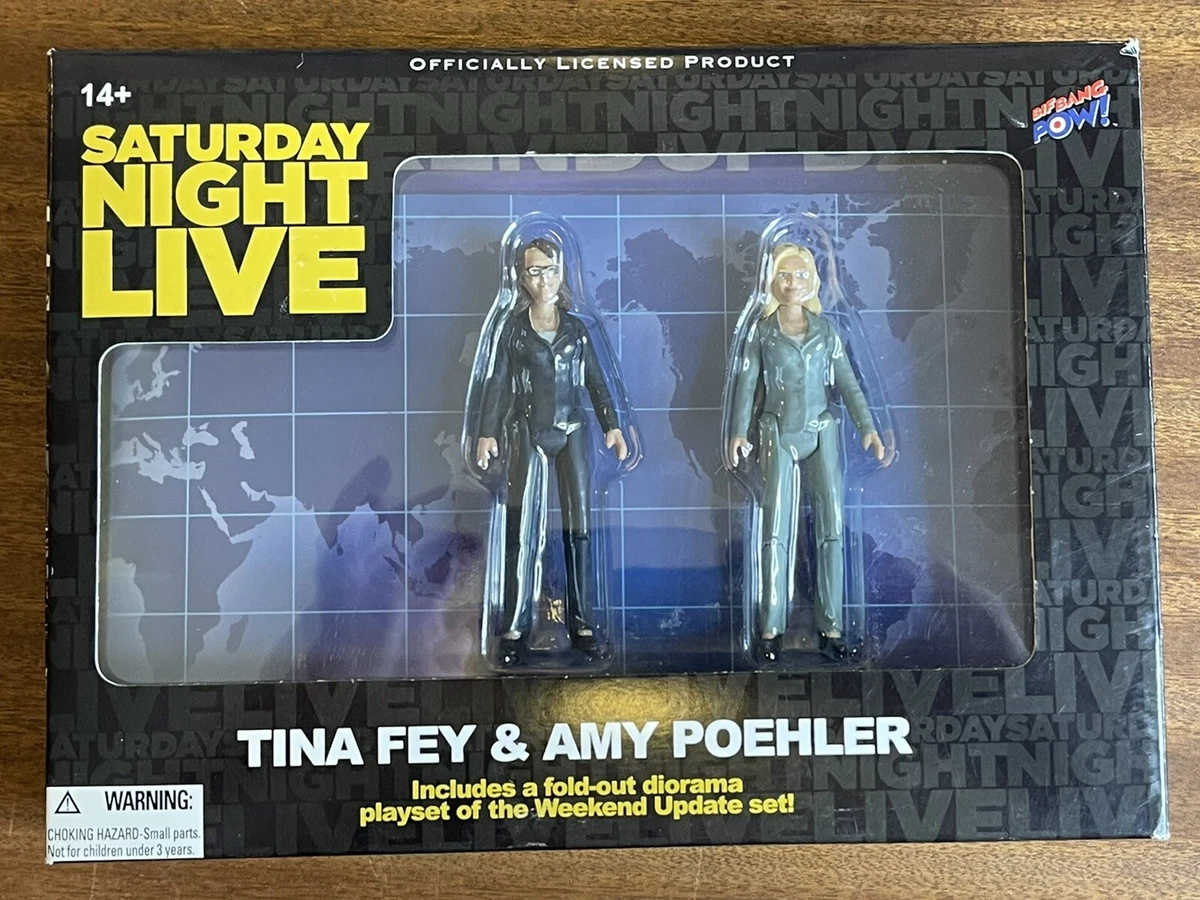 Amy Poehler Snl Weekend Update