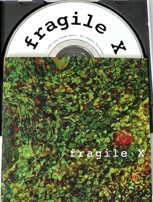 FRAGILE X DEMO CD PRIVATE PRESS 1998 INDIE ROCK ALTERNATIVE JUDY ...