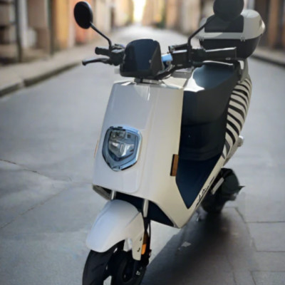 New Electric Zebra Moped – In Crate, ZERO Miles w/Warranty | eBay