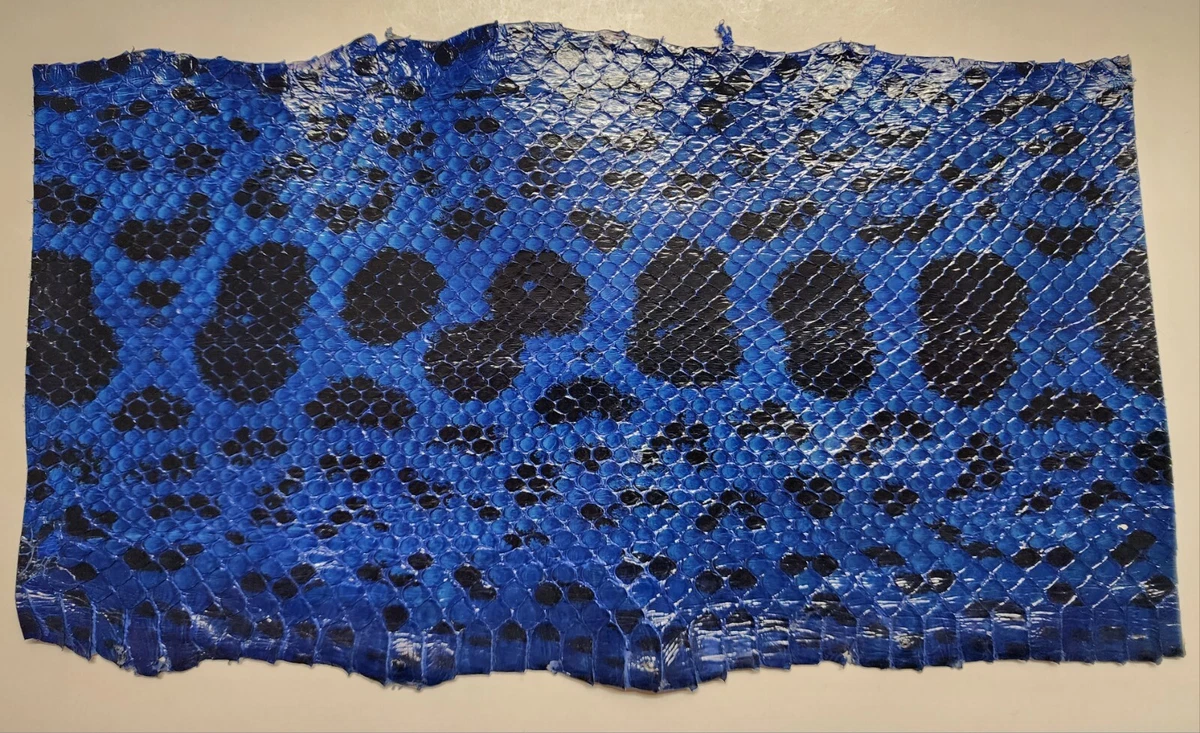 Anaconda Skin Pattern