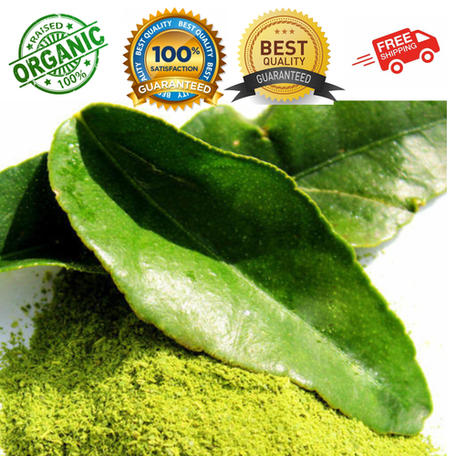 Atalantia Ceylanica Sun Dried Yaki Naran Leaf Powder Wild Lemon Herbal ...