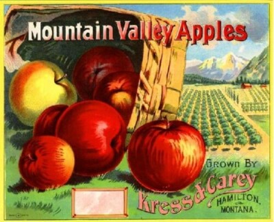 Mountain Valley Apples Hamilton Montana Retro Fruit Crate Label Art ...