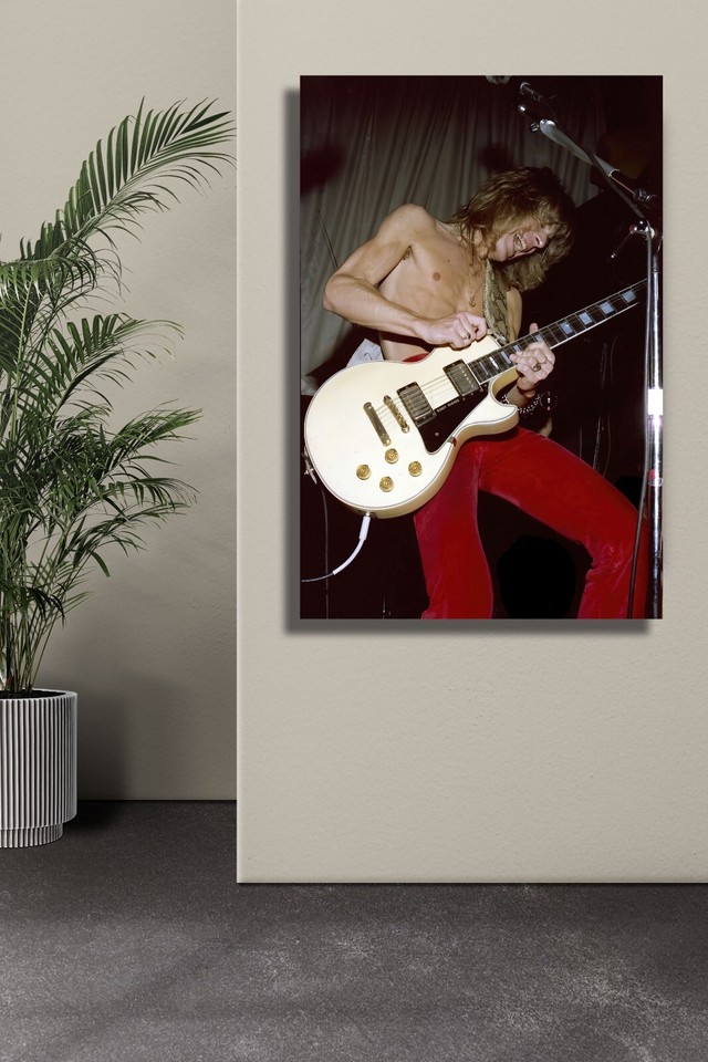 Randy Rhoads Poster 24x36 Inch Live Concert Photo Rare Wall Art Print ...