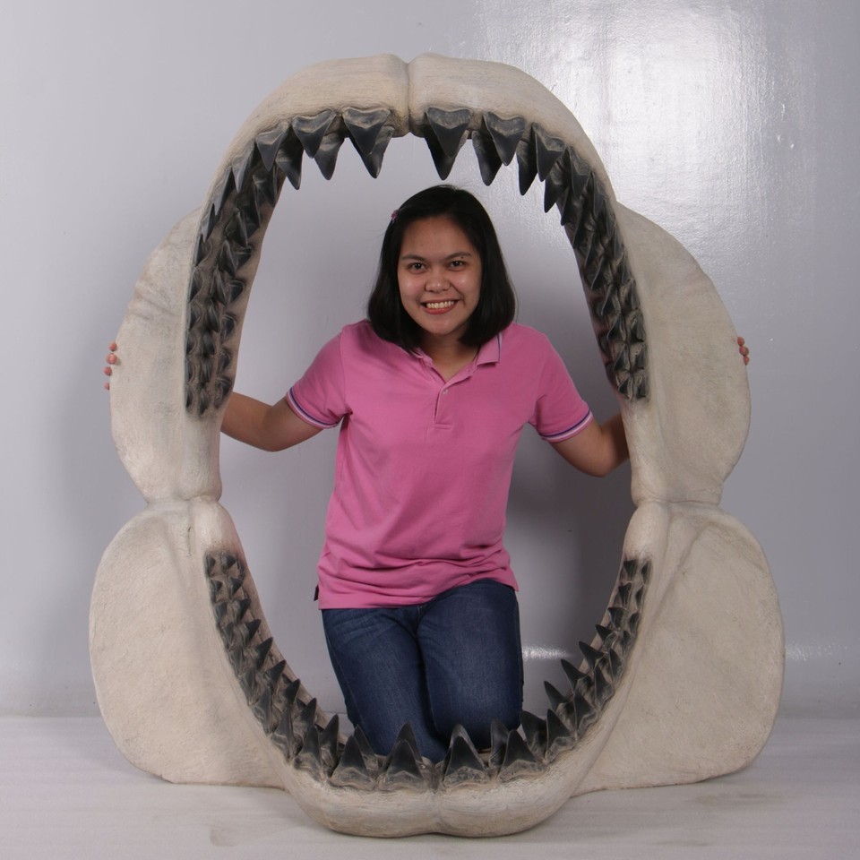 Megalodon Giant Shark Jaw Open Life Size Statue Ocean Sea Fossil Prop ...
