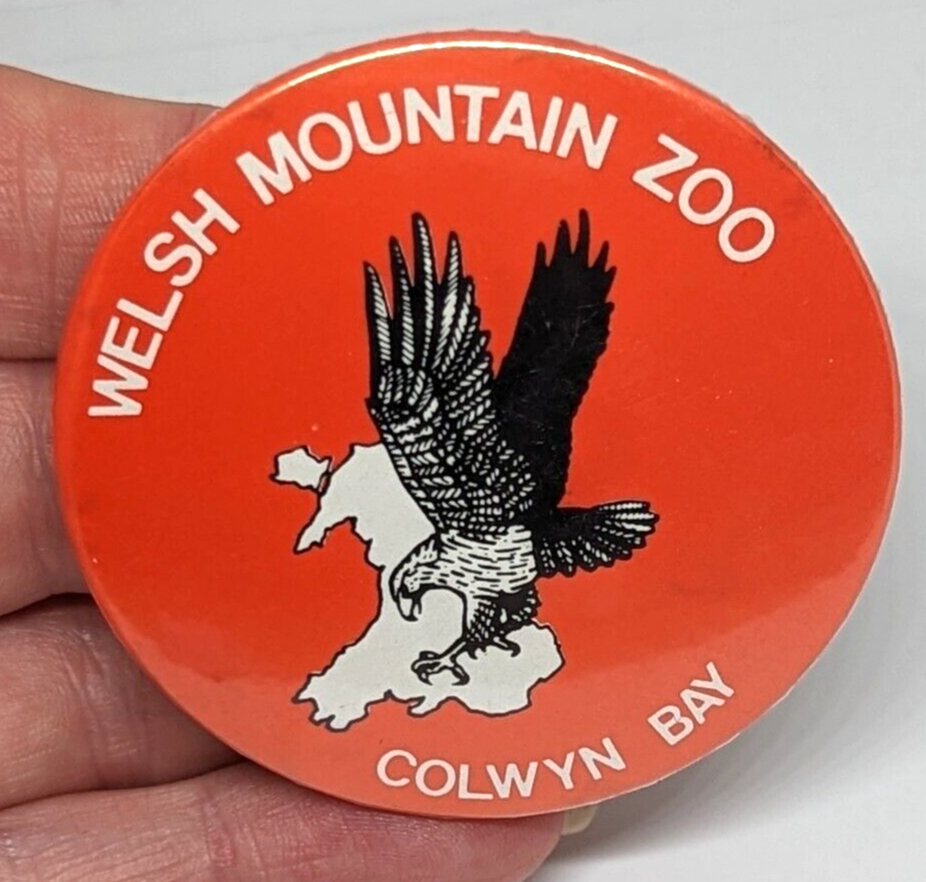 Vintage COLWYN BAY Welsh Mountain Zoo Zoological Garden Conwy Badge Pin ...