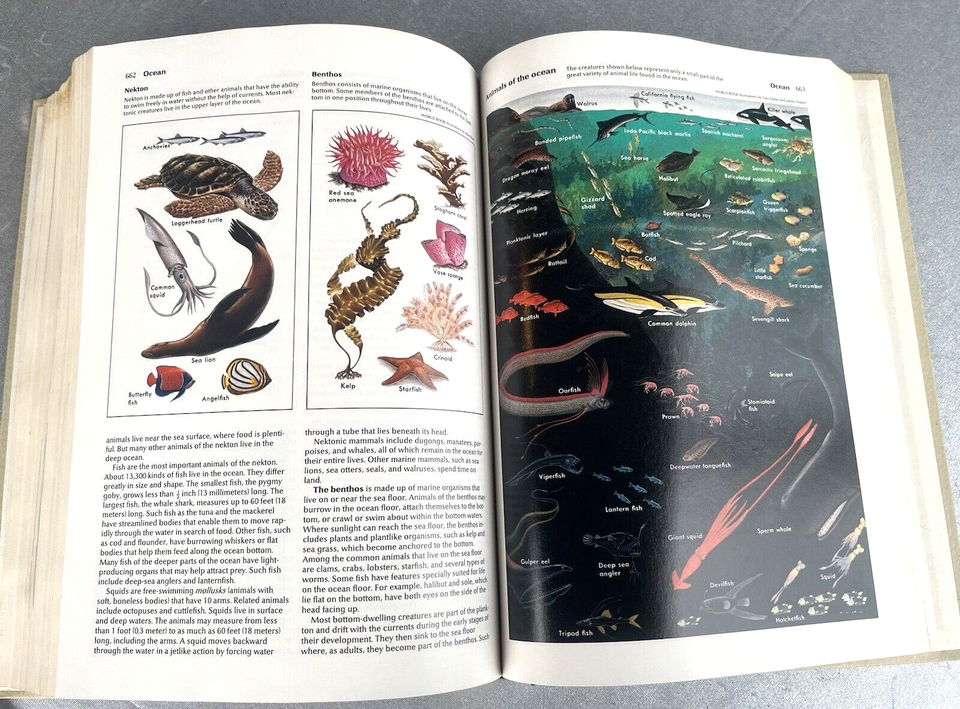 1990 Copyright World Book Encyclopedia VOLUME 14 N-O | eBay