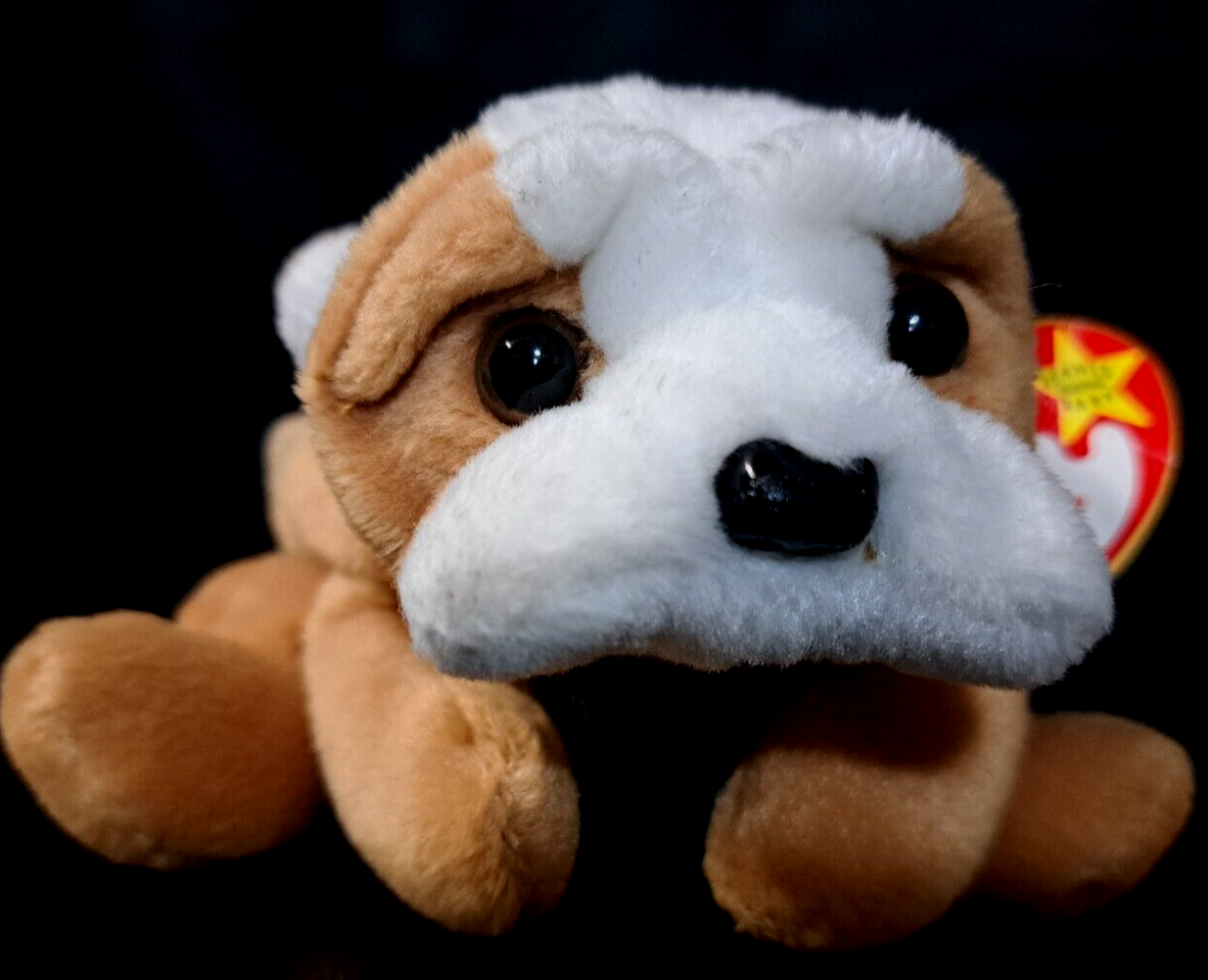 Wrinkles The Dog 1996 Ty The Beanie Babies Collection Bulldog With Tag ...