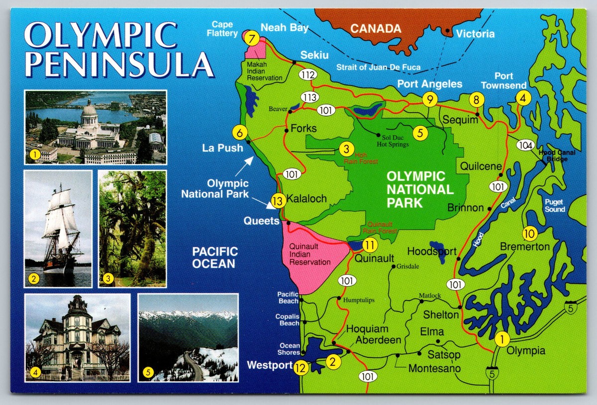 Olympic Peninsula Washington State Olympic Peninsula Road Trip: A